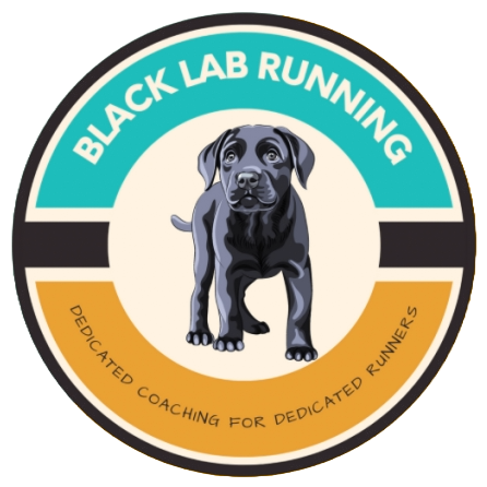 Home | Black Lab Running